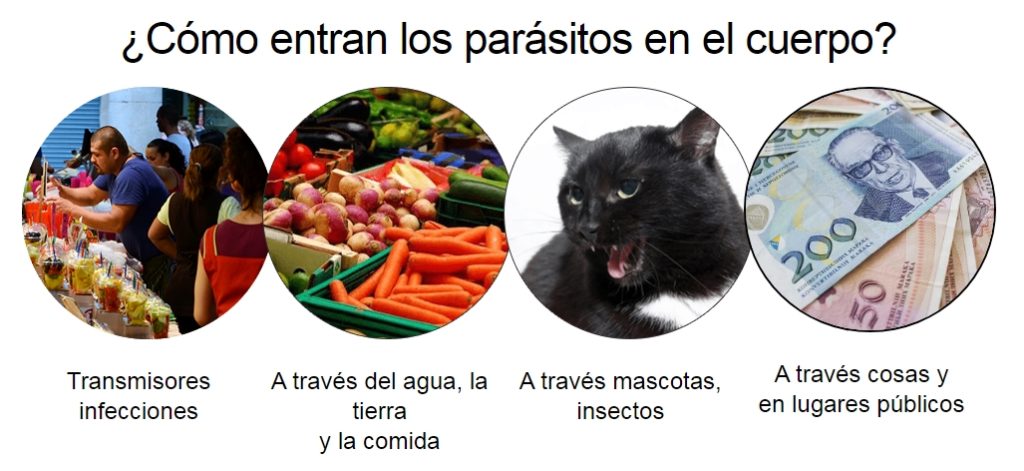 PARAZOL – precio, farmacias, opiniones negativas, foro, efectos secundarios