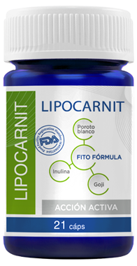Lipocarnit cápsulas para adelgazar – precio, comprar en farmacia Chile ...